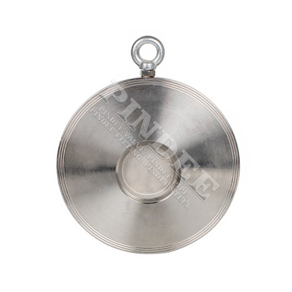 Single Disc Wafer Type Swing Check Valve - Buy Stainless Steel Wafer ...