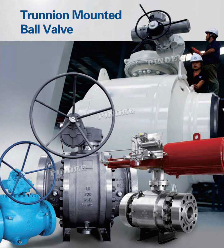 Top Entry Trunnion Mounted Ball Valve - Buy Top Entry Trunnion Mounted ...